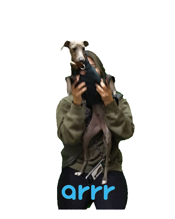 아르르 Sticker by arrr_official for iOS & Android | GIPHY