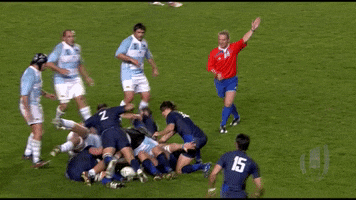 Angry World Rugby GIF by Rugby World Cup - Find & Share on GIPHY