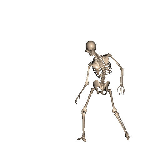 Transparent Skeleton Gif