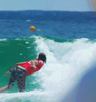 Snapper Rocks GIFs - Get the best GIF on GIPHY