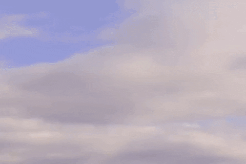 Washington State GIFs - Get the best GIF on GIPHY