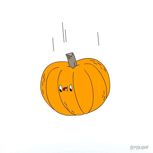 Pumkin Patch GIFs - Get the best GIF on GIPHY