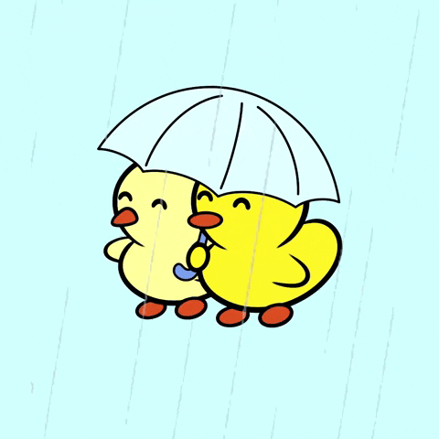Love In The Rain GIFs - Find & Share on GIPHY
