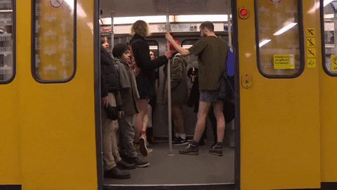 No Pants Day GIFs - Get the best GIF on GIPHY