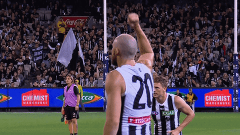 Football Celebrate GIF by CollingwoodFC - Find & Share on GIPHY