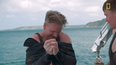 Wet-suit GIFs - Get the best GIF on GIPHY