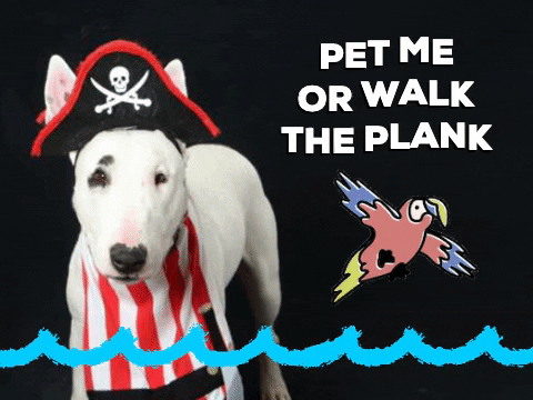 Dog Halloween GIF by Nebraska Humane Society - Find & Share on GIPHY