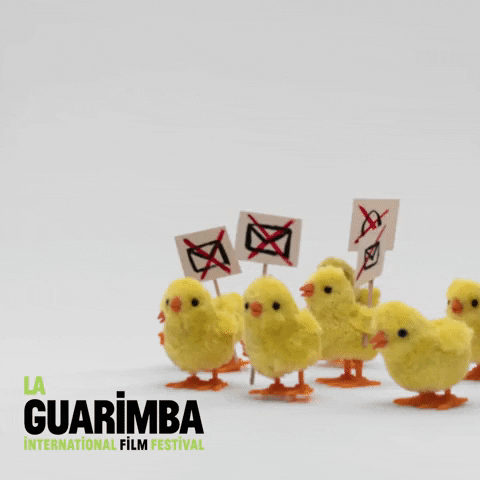 Capitol Protest GIFs - Get the best GIF on GIPHY