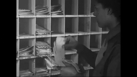 Pigeon-mail GIFs - Get the best GIF on GIPHY