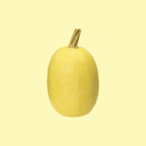 Spaghetti Squash GIFs - Get the best GIF on GIPHY