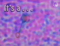 Boyd GIFs - Get the best GIF on GIPHY