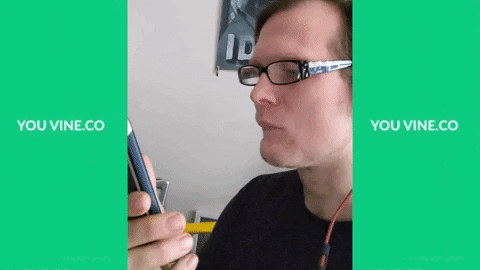 Meme Vine GIF by wade.photo - Find & Share on GIPHY