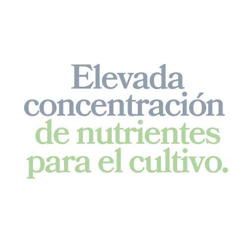 Mastermins plus GIFs on GIPHY - Be Animated