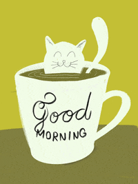 Good Morning Cat Coffee