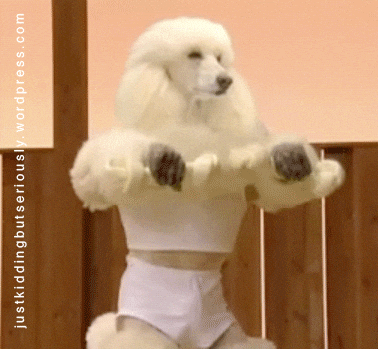 Muscle-dog GIFs - Get the best GIF on GIPHY