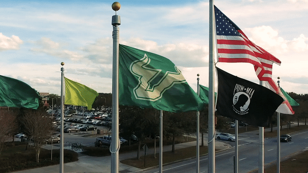 University of South Florida GIF - Find & Share on GIPHY