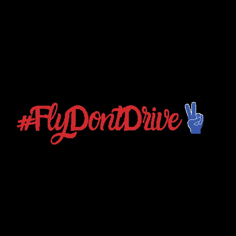 Happy Flying GIFs - Get the best GIF on GIPHY