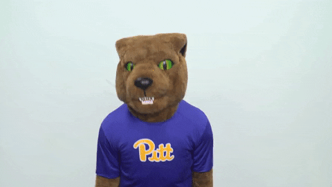 ROC The Panther by Pitt Panthers | GIPHY