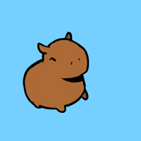 Happy Capybara GIFs - Find & Share on GIPHY