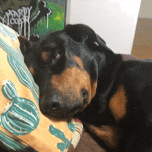 Dog Sleep GIF by MARDYCOLOR - Find & Share on GIPHY