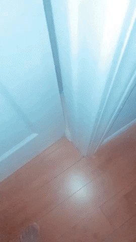Let Me In Now Knock Knock GIF - Find & Share on GIPHY