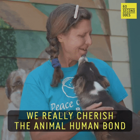 Animated-humans GIFs - Get the best GIF on GIPHY