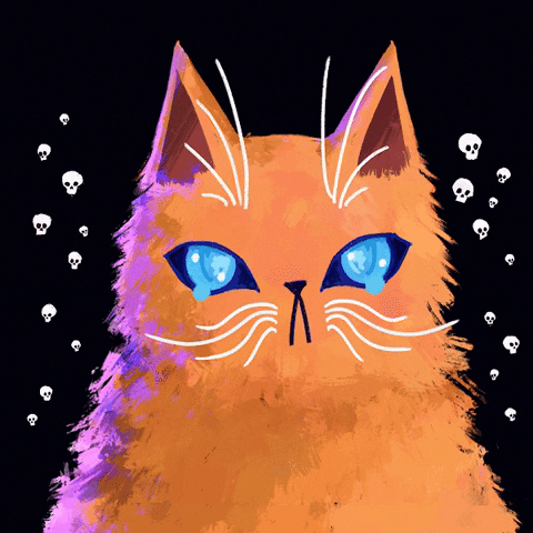 Sad Cat GIF - Find & Share on GIPHY