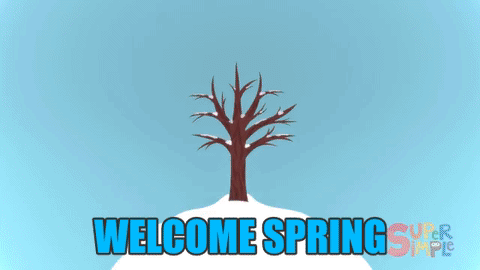 Spring Seasons GIF by Super Simple - Find & Share on GIPHY