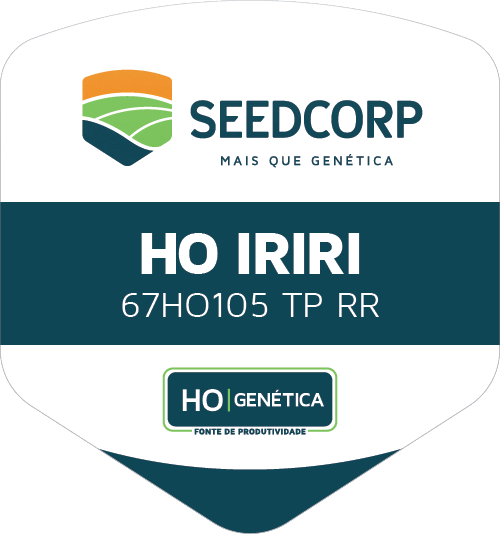 Cultivar De Soja GIFs - Get the best GIF on GIPHY