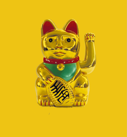 Cat With Money GIFs - Find & Share on GIPHY