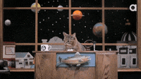 Lil Bub Gif Computer