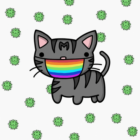 Mask Cat GIFs - Get the best GIF on GIPHY