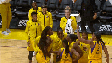 Excited Los Angeles GIF by WNBA - Find & Share on GIPHY