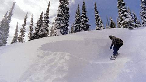 Snow Snowboarding GIF by The North Face - Find & Share on GIPHY