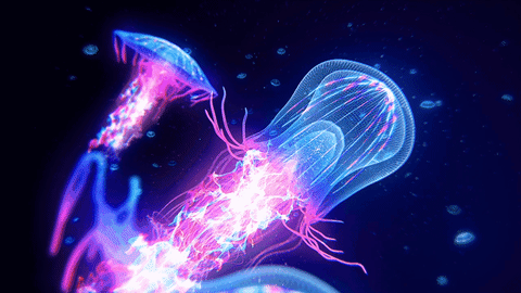 Visual Effects GIF by Red Giant - Find & Share on GIPHY