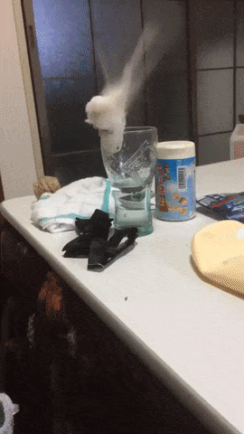 Fall Drinking GIF by JustViral.Net - Find & Share on GIPHY