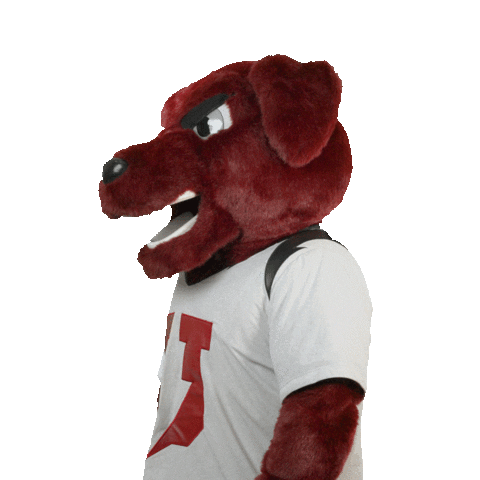 Union College GIFs on GIPHY - Be Animated