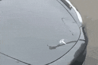 Nikola Tesla Meme GIFs - Find & Share on GIPHY