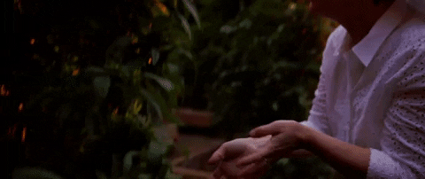 Marijuana Tree GIFs - Get the best GIF on GIPHY