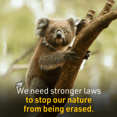 Threatened-species GIFs - Get the best GIF on GIPHY