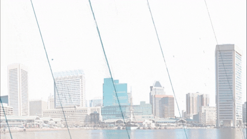 Merriweather-post-pavilion GIFs - Get the best GIF on GIPHY