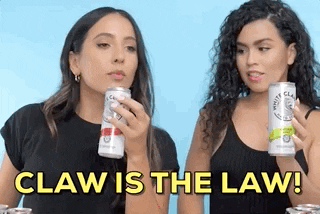 Aint No Laws When Youre Drinking Claws GIFs - Get the best GIF on GIPHY