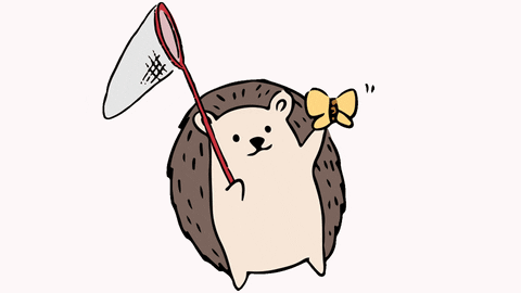 Catching Net GIFs - Get the best GIF on GIPHY