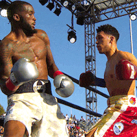 Animated Boxing Gifs