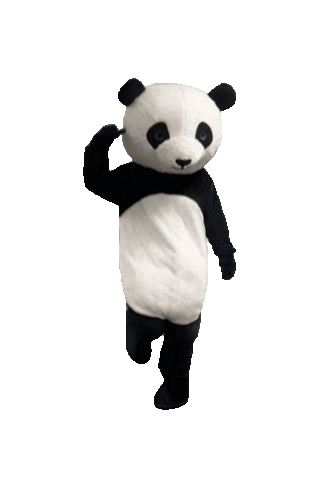 Panda Dancing Sticker by Regency Auto for iOS & Android | GIPHY