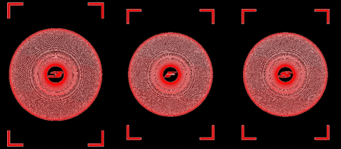 3Fs GIF by Three Form Studio - Find & Share on GIPHY