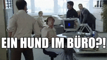 Florian Wellmann Immobilien GmbH GIFs on GIPHY - Be Animated