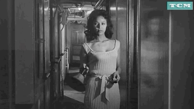 Classic Film 1950s By Turner Classic Movies Find And Share On Giphy