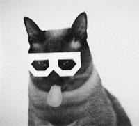 Dubstep Cat Gif