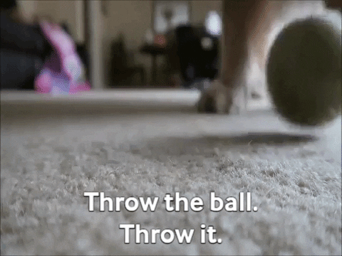 Throw The Ball GIFs - Get the best GIF on GIPHY